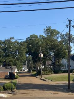 Winona's Friday Forecast | The Winona Times